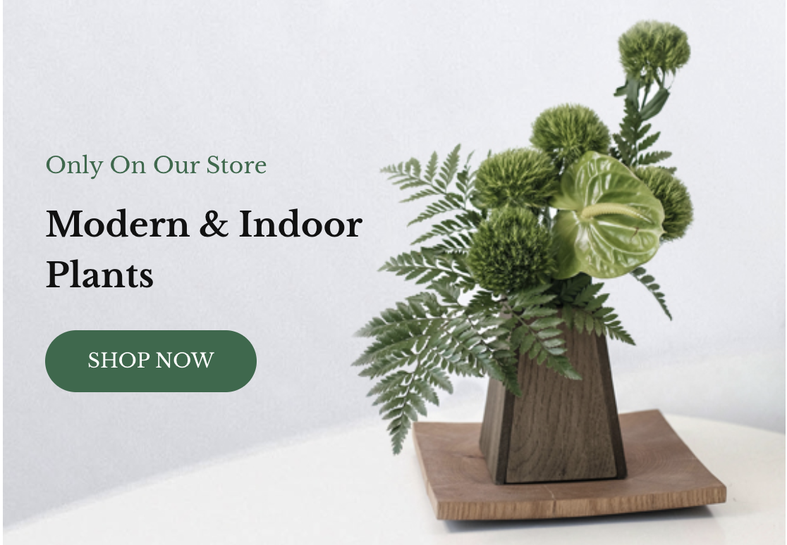 Online Garden Store, Seeds & Agricultural Products | thesaistore.com