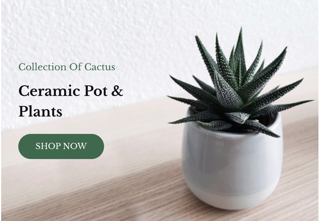 Online Garden Store, Seeds & Agricultural Products | thesaistore.com